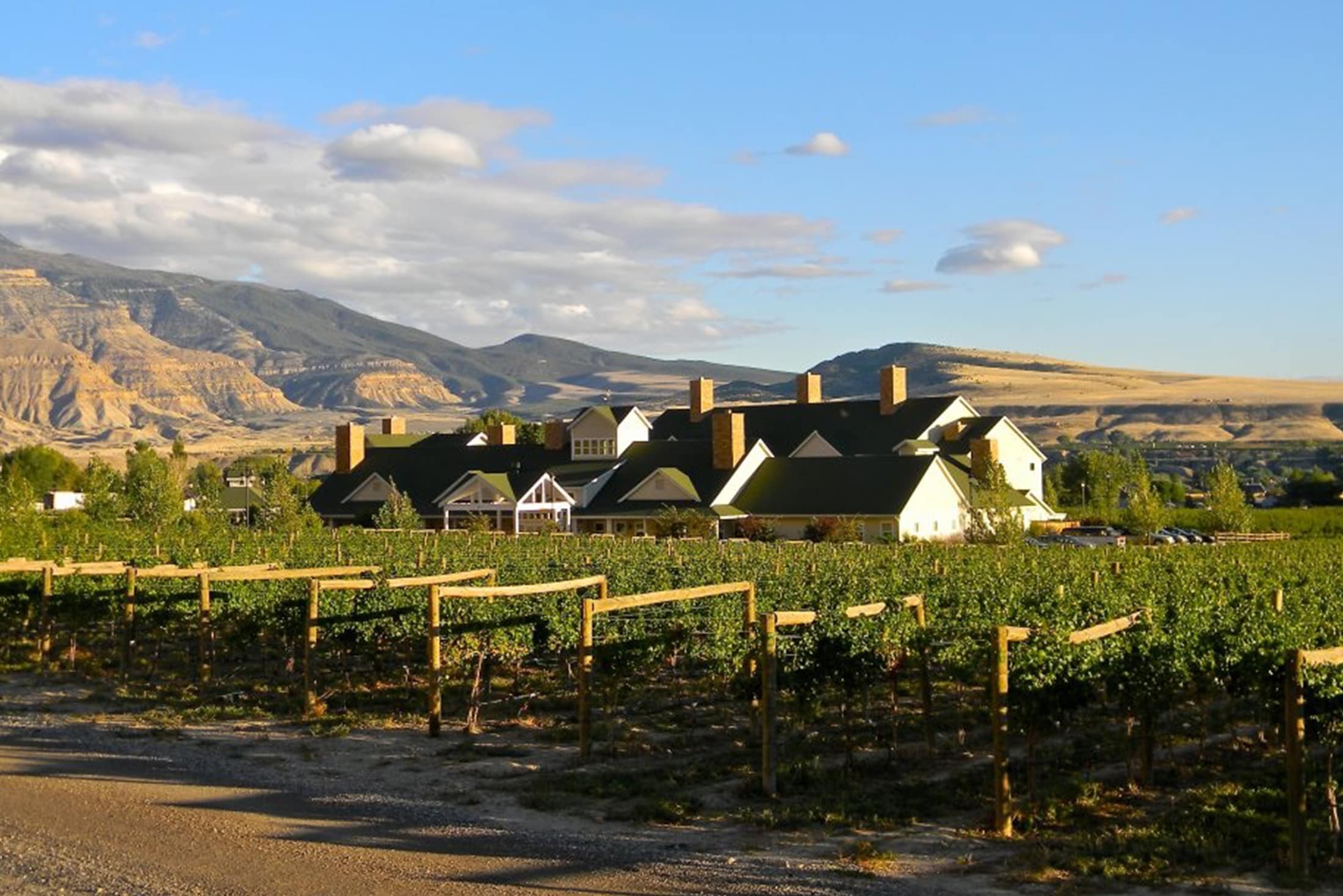 Colorado Wine Country: A Complete Guide to the Palisade Fruit & Wine ...