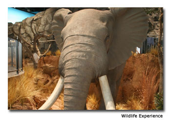 Wildlife Experience: Intriguing Museum on Denver’s Prairie